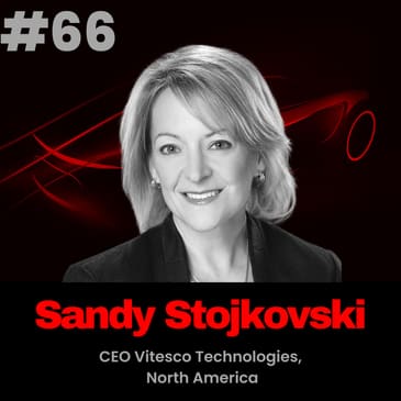 Meet Sandy Stojkovski, CEO Vitesco Technologies, North America | Drives ...