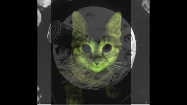 Ray Cats Nuke the Moon | My Nuclear Life