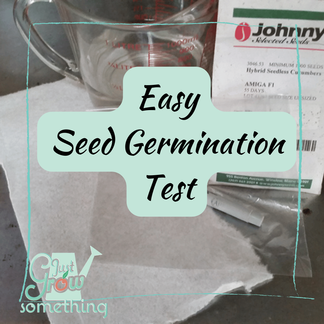 Do Seeds Expire? | Just Grow Something with Karin Velez