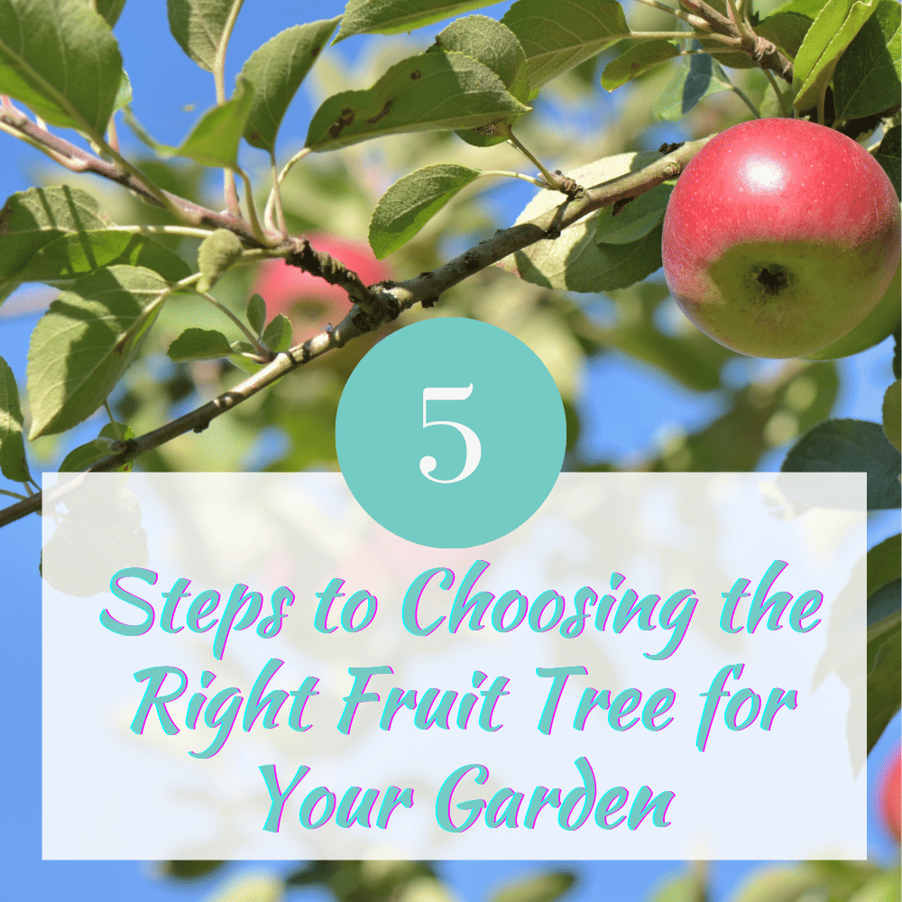 Five Steps to Choosing the Right Fruit Tree for Your Garden | Just Grow ...