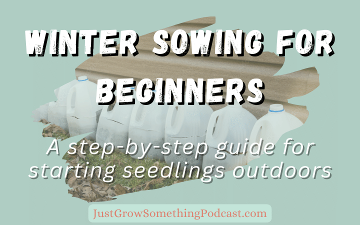 Winter Sowing: A Beginner's Guide to Outdoor Seed Starting | Just Grow ...