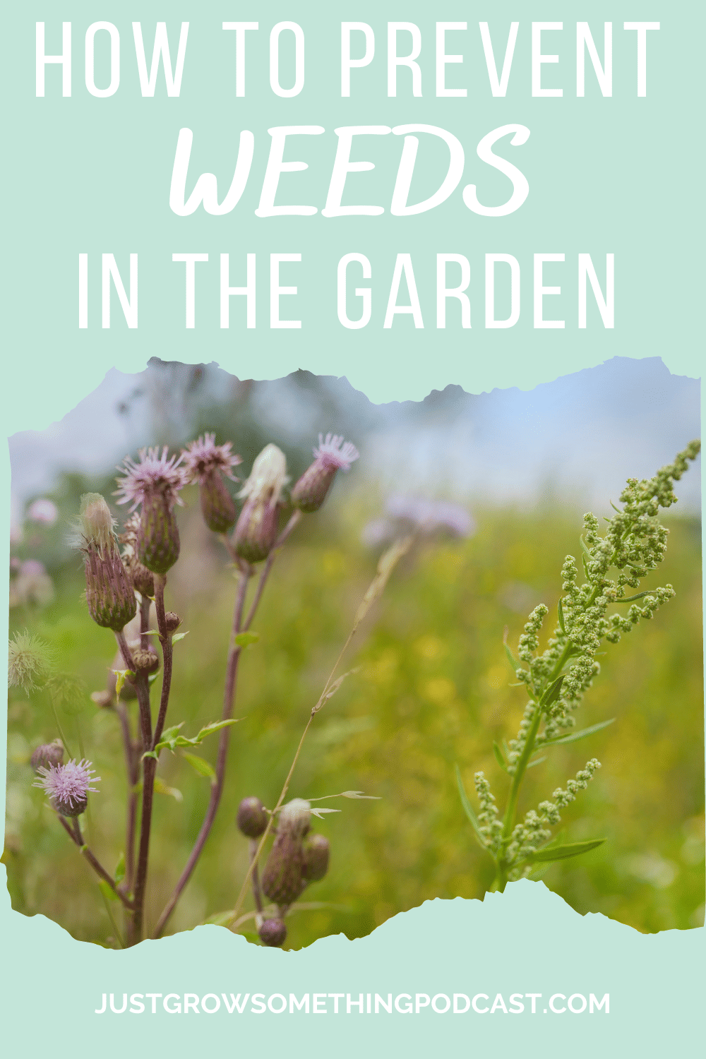 Weed Prevention in the Garden | Just Grow Something with Karin Velez
