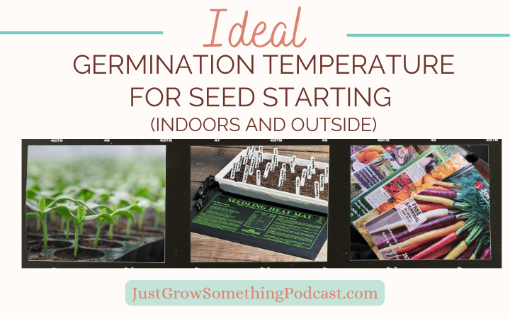 Ideal Germination Temperatures for Seed Starting Indoors and Out | Just ...