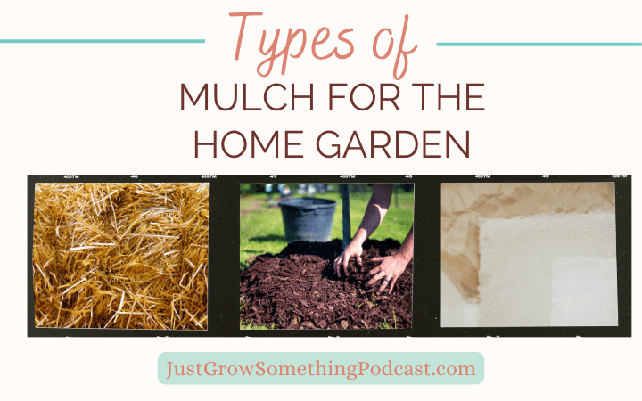 Types of Mulch for the Garden | Just Grow Something with Karin Velez