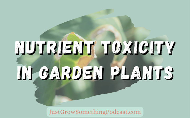 Indicators of Nutrient Toxicity in Garden Plants | Just Grow Something ...