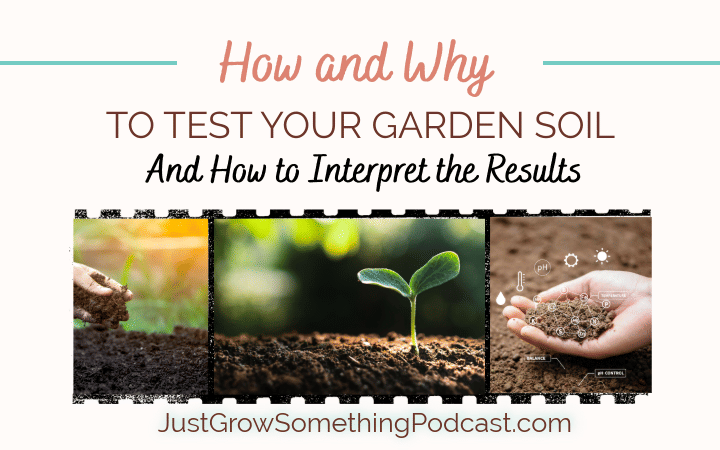 How and Why to Perform a Soil Test for Nutrients and Texture | Just ...