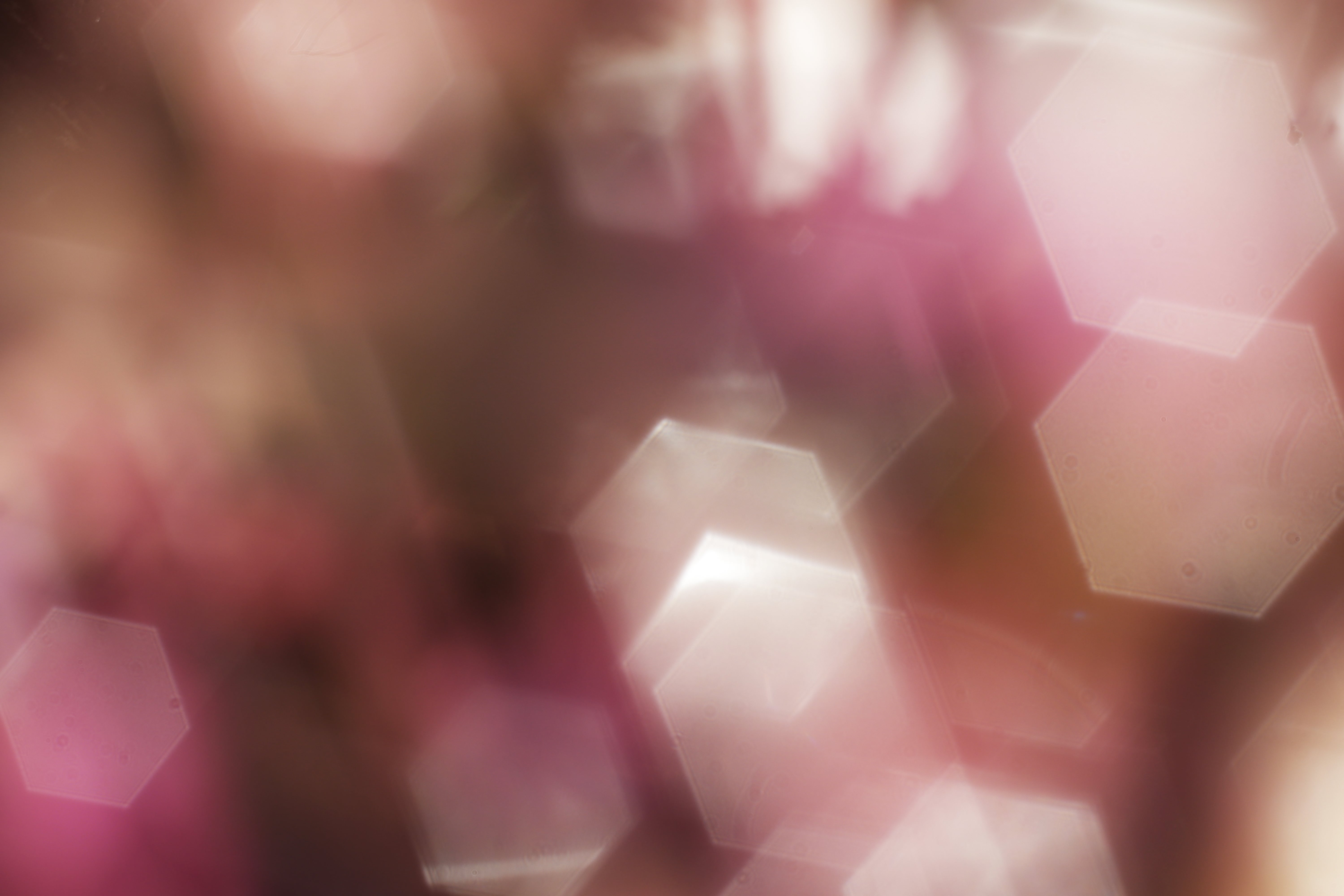 Shiny object syndrome: how 'weenie' ADHD entrepreneurs can defeat the ...