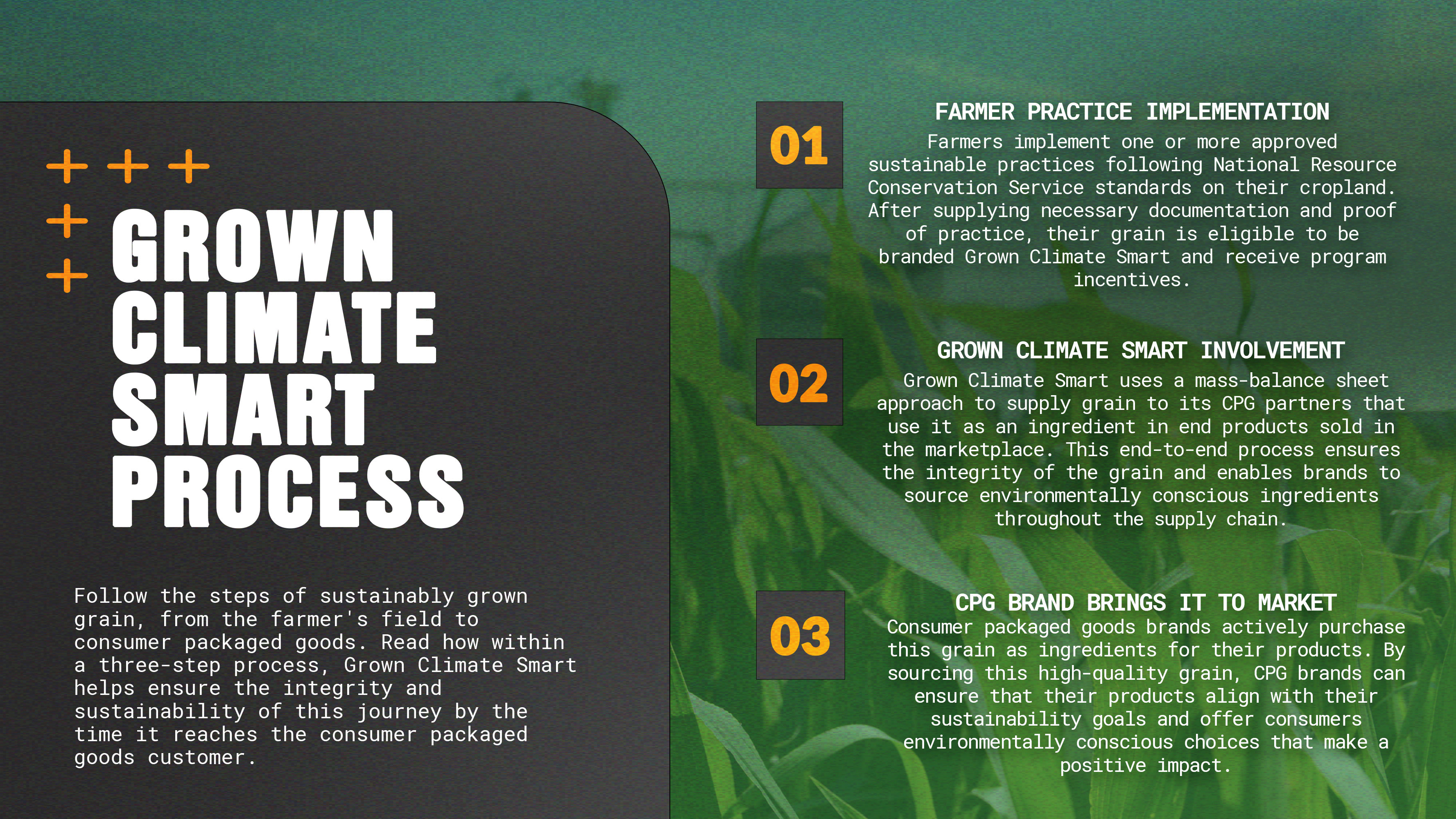 Introducing: Grown Climate Smart