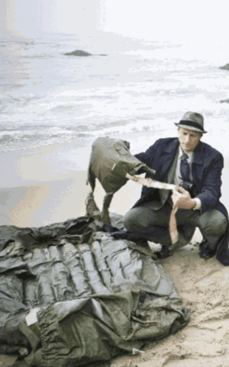 Alcatraz Escape : The Legendary Breakout | The Compendium: An Assembly ...