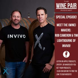 The Wine Pair Podcast - Irreverent reviews of everyday wine