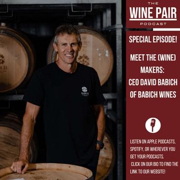Special Episode! Meet the (Wine) Makers: David Babich (CEO of Babich ...