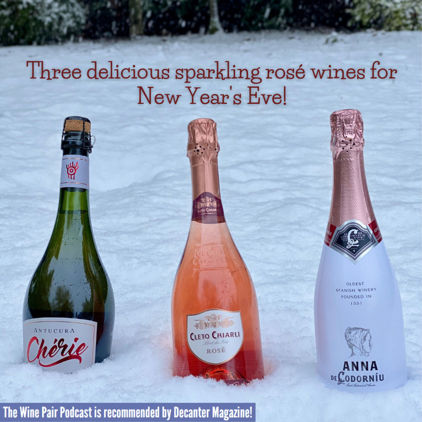 Holiday Sparkling Wines #2: Sparkling Rosé! (Sparkling Rosé wine ...
