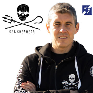 Jeff Hansen - Sea Shepherd Global Director | Scuba GOAT - The podcast ...