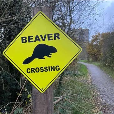 #102: (WILD) Rewilding Urban Parks with Lost Species - Sean McCormack ...